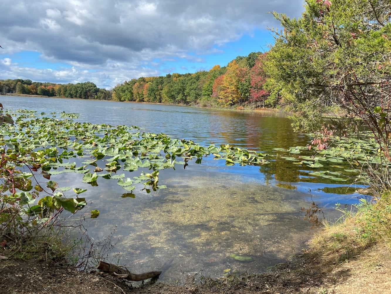 Portman Nature Preserve: Nature Preserve in Saugatuck, MI